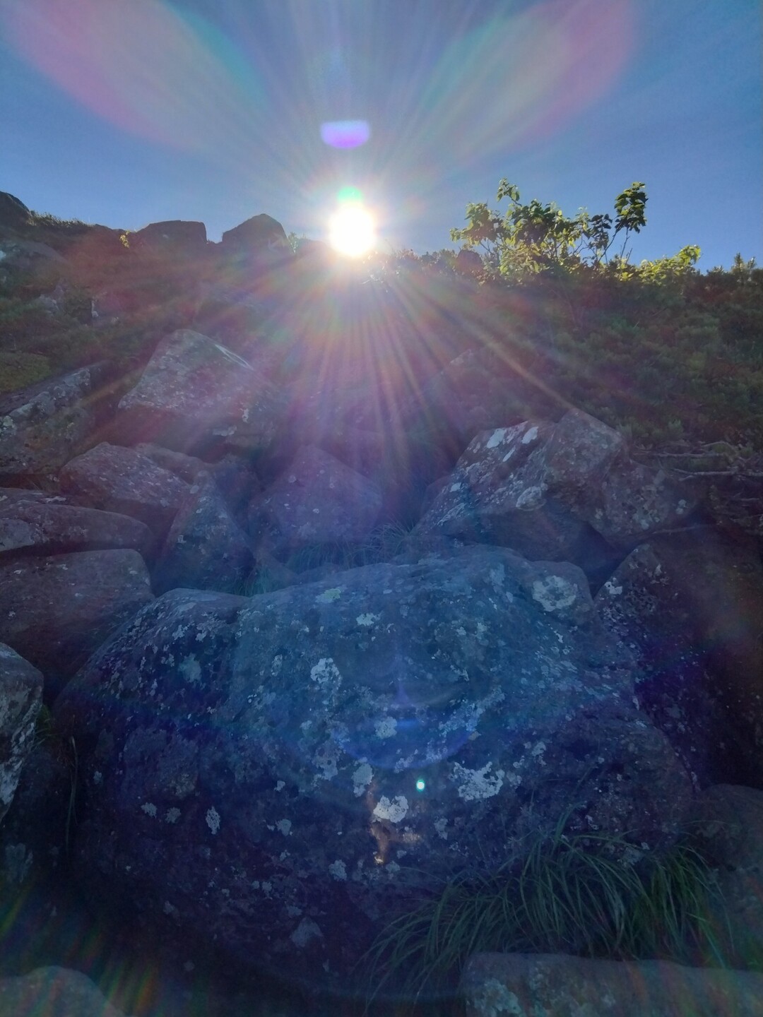 西天狗岳・東天狗岳 / reonさんの八ヶ岳（赤岳・硫黄岳・天狗岳）の活動データ | YAMAP / ヤマップ