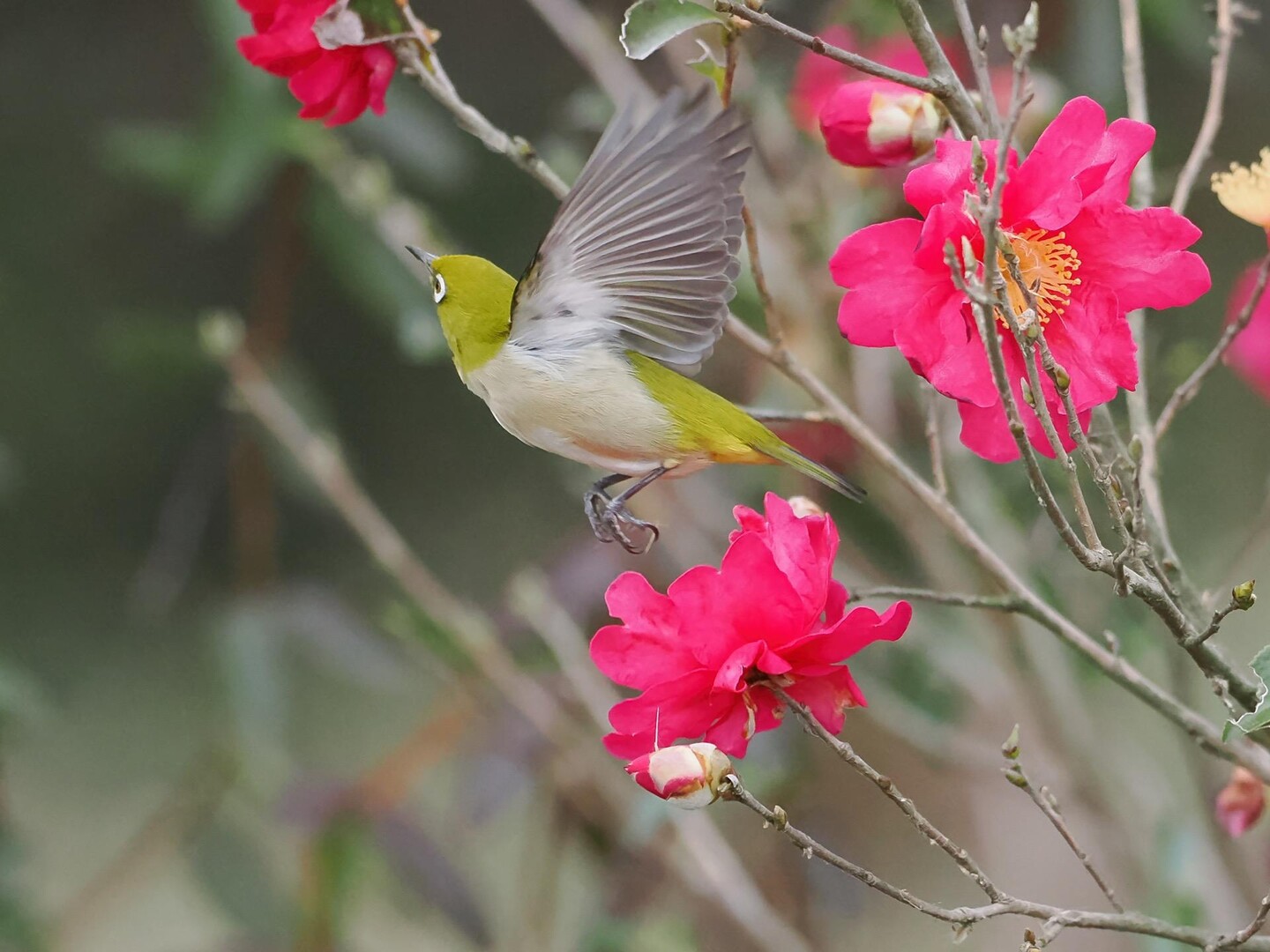 山にも行きたいですがなかなか忙しくて😅... / yuuさんのモーメント | YAMAP / ヤマップ
