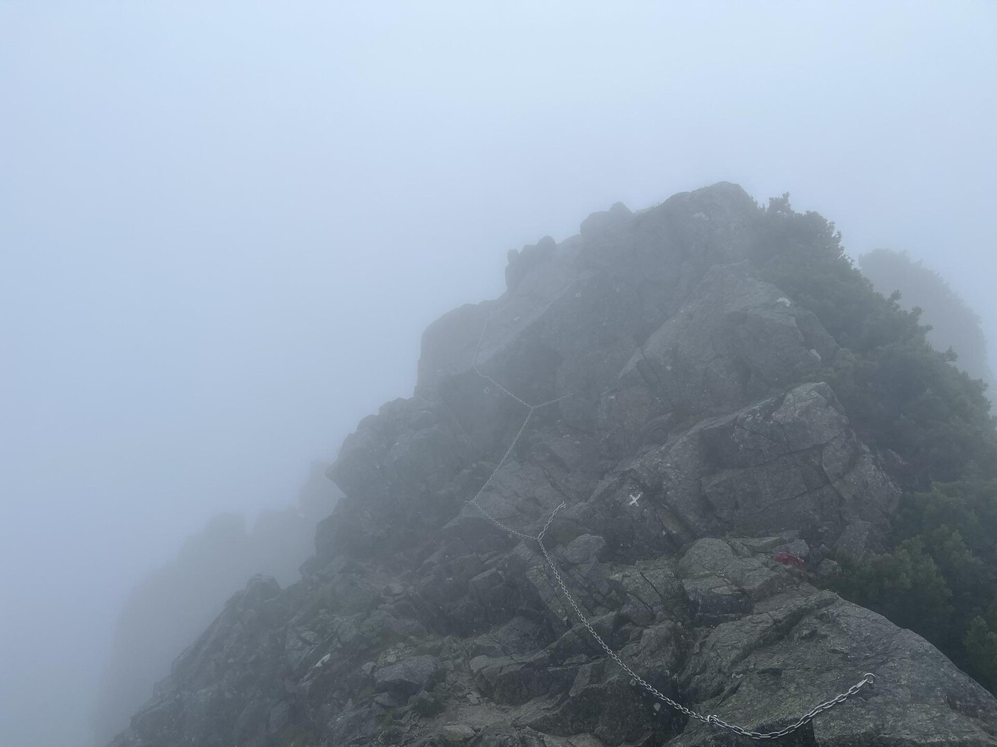 島田娘 / togonovoさんの木曽駒ヶ岳・空木岳・越百山の活動データ | YAMAP / ヤマップ
