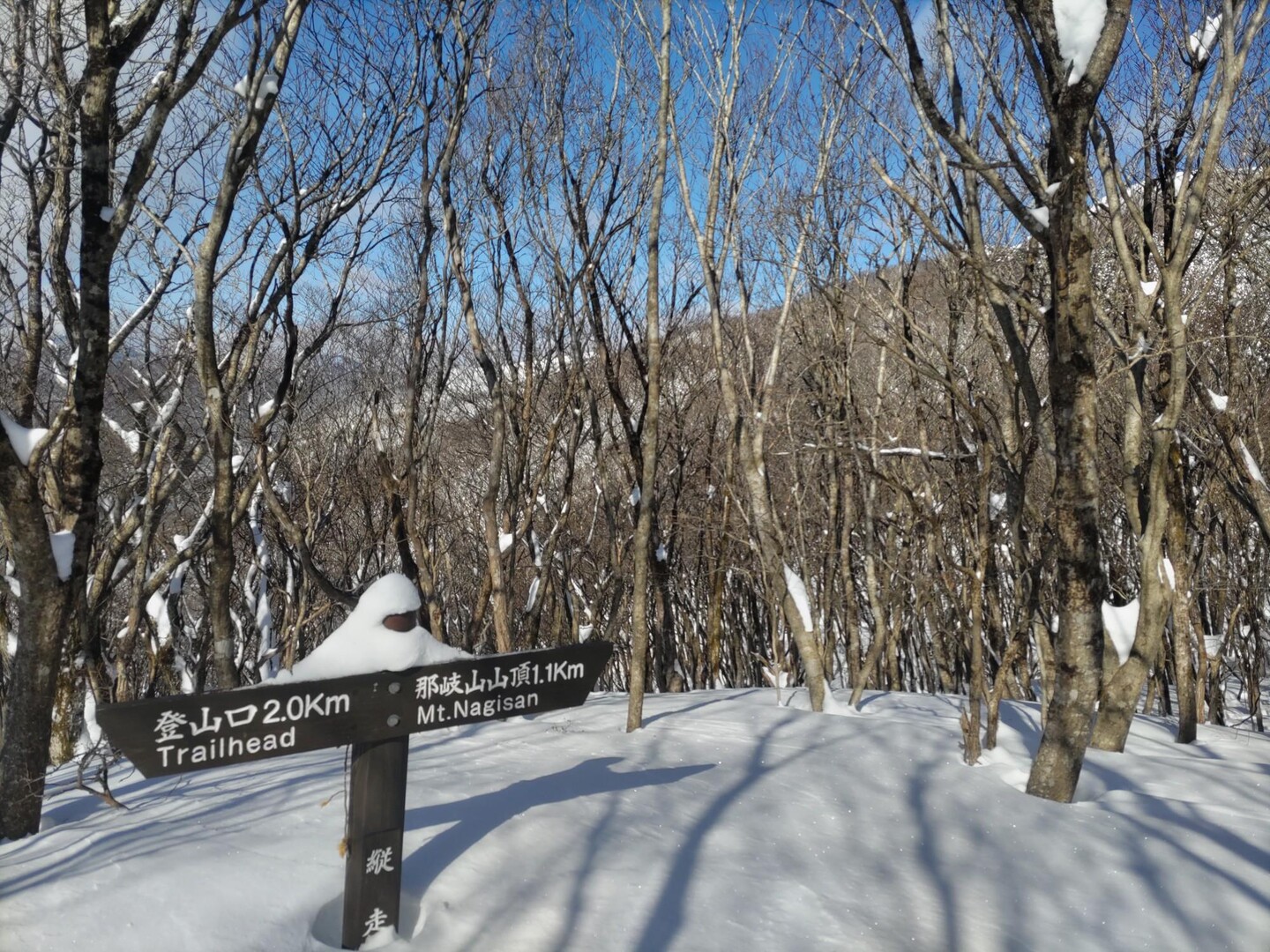 那岐山・8合目付近で撤退 / kohiさんの那岐山・滝山・広戸仙の活動データ | YAMAP / ヤマップ