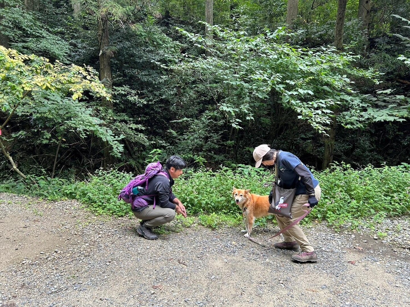 宝達山2nd / つんねるさんの宝達山の活動データ | YAMAP / ヤマップ