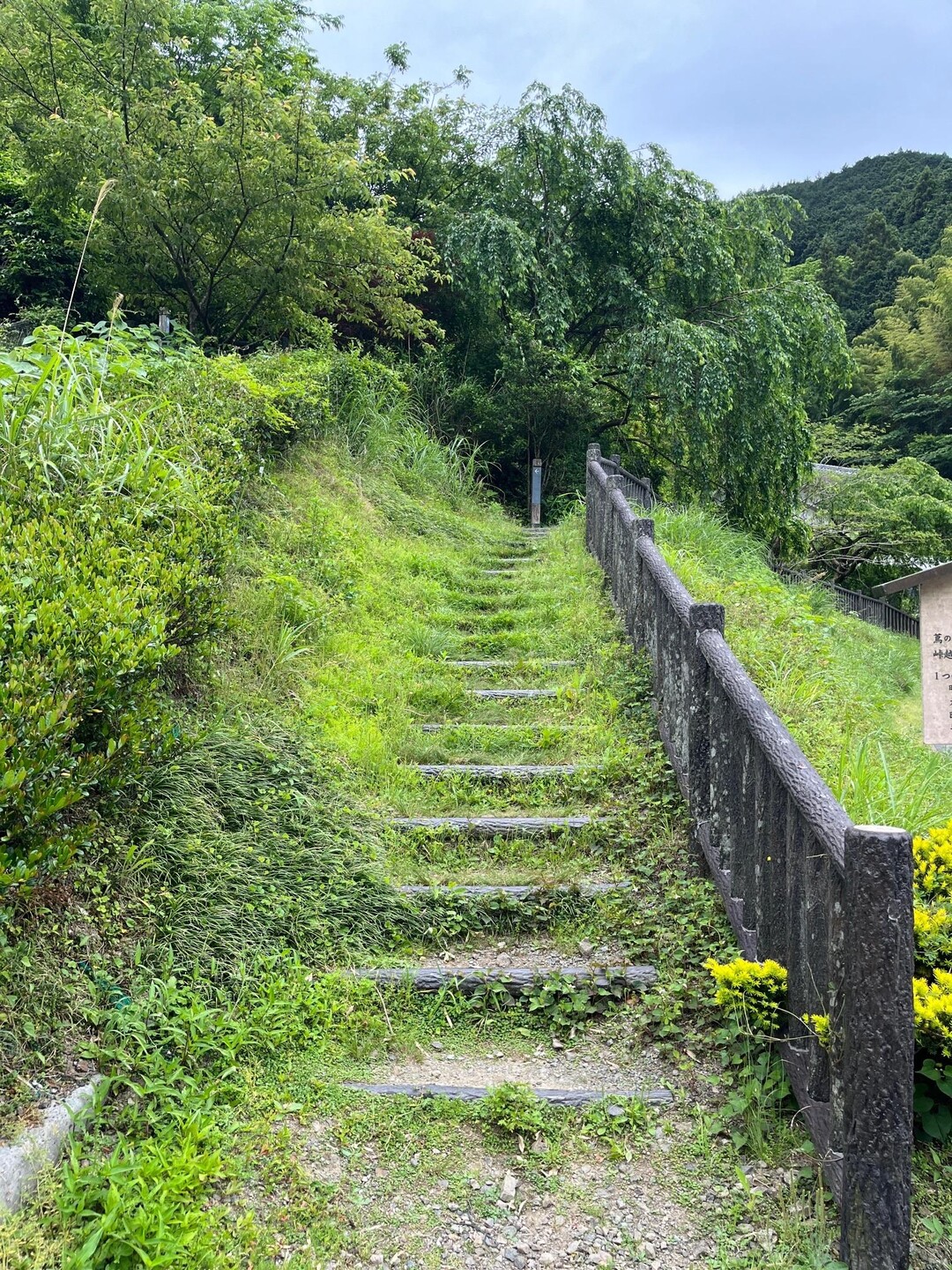 満観峰 / ka-zさんの焼津アルプス（高草山・満観峰・花沢山）・徳願寺山の活動データ | YAMAP / ヤマップ