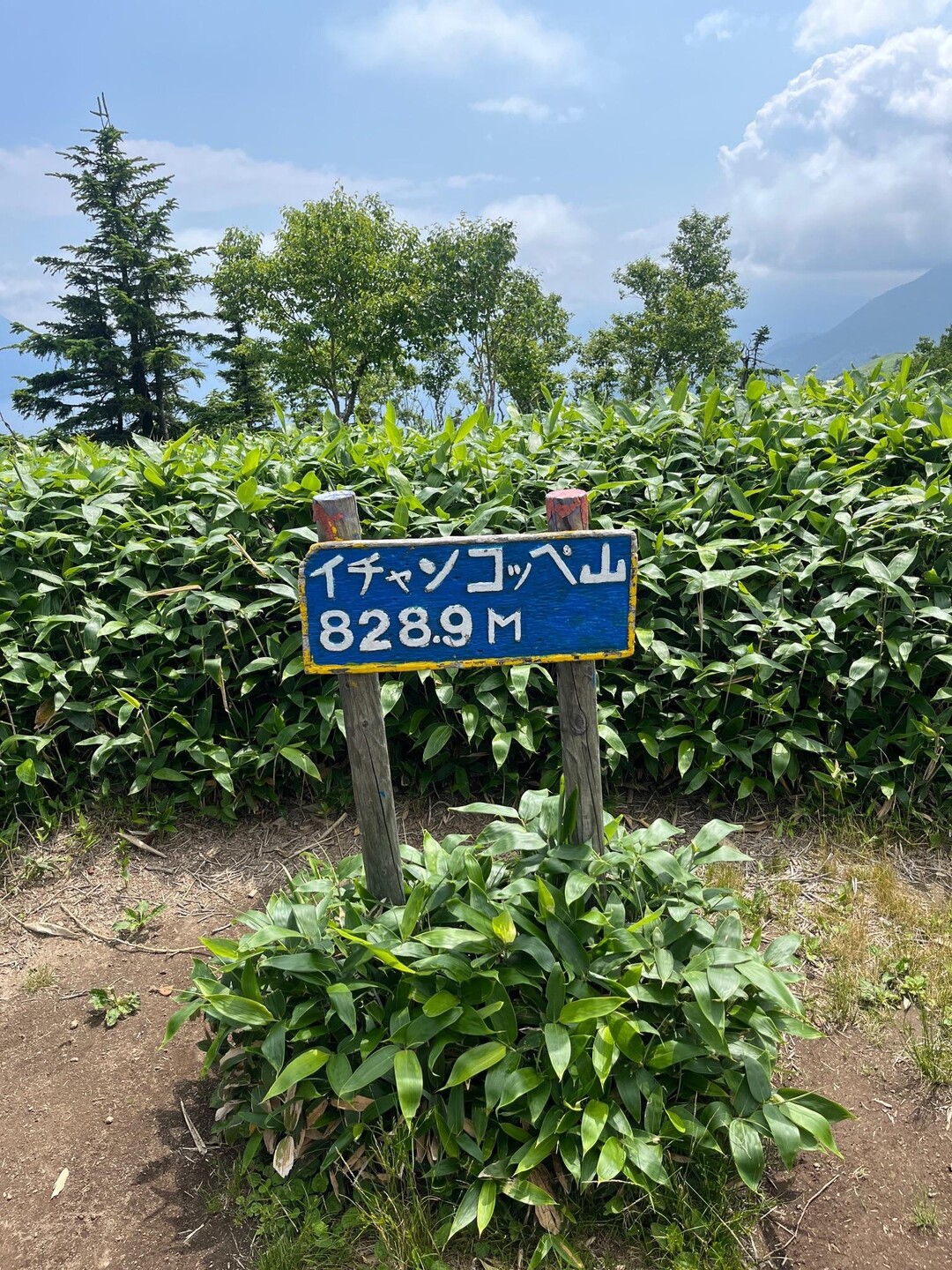 2023⑨イチャンコッペ山 / MiNEさんのイチャンコッペ山の活動データ | YAMAP / ヤマップ