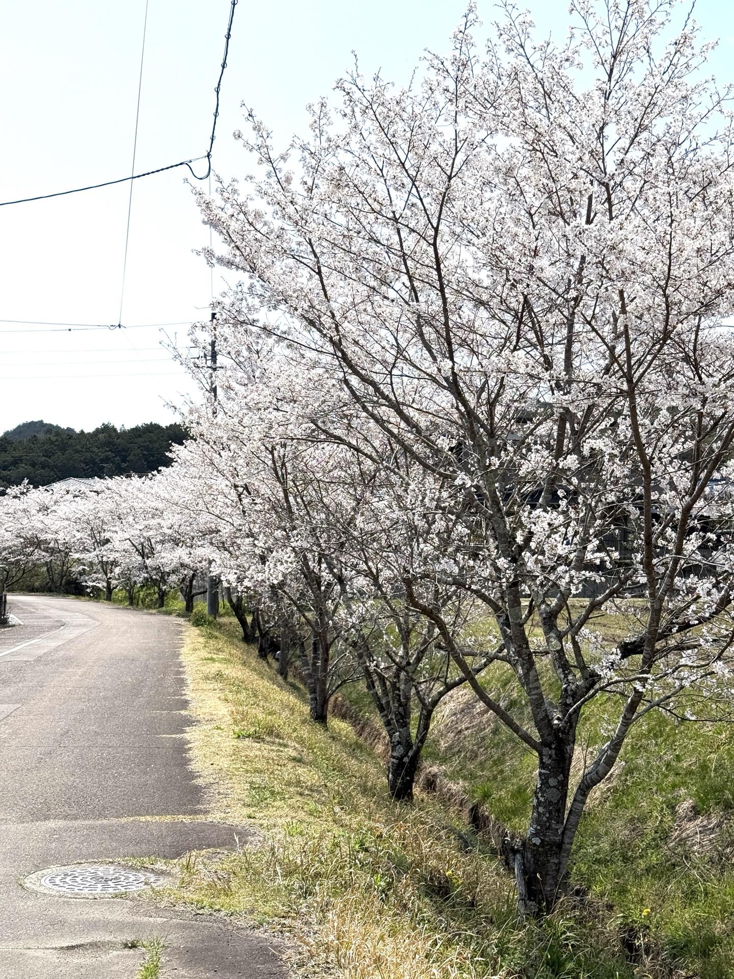 井ノ山 / MIO探検隊さんの井ノ山の活動データ | YAMAP / ヤマップ