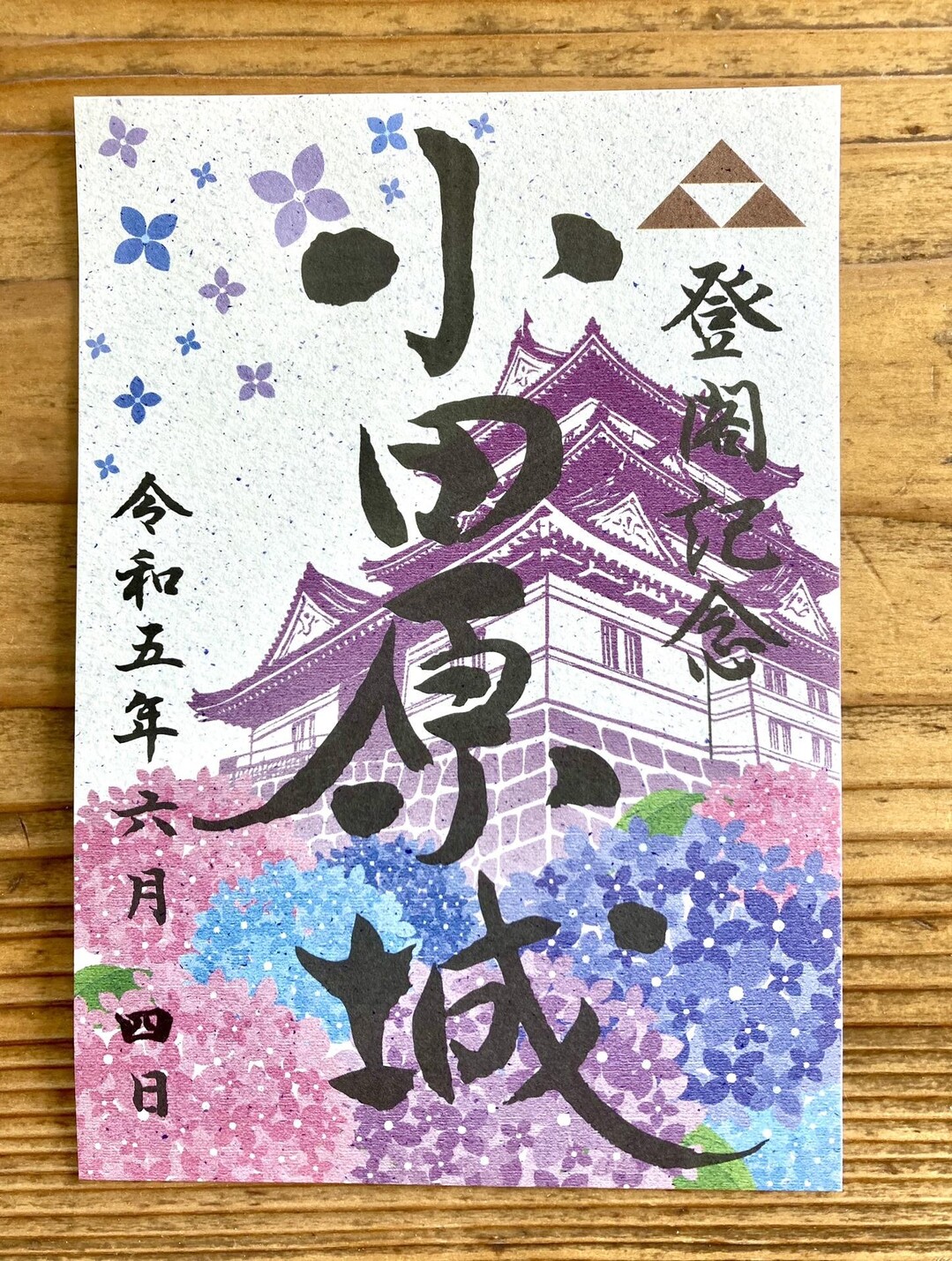小田原城あじさい花菖蒲園まつり / Ozanさんの東海道五十三次 (小田原宿・箱根宿・三島宿)の活動データ | YAMAP / ヤマップ