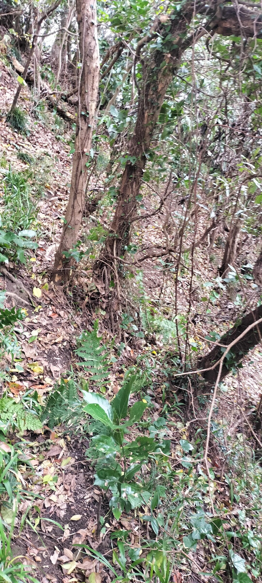 yusuke さんの投稿したフィールドメモ | YAMAP / ヤマップ