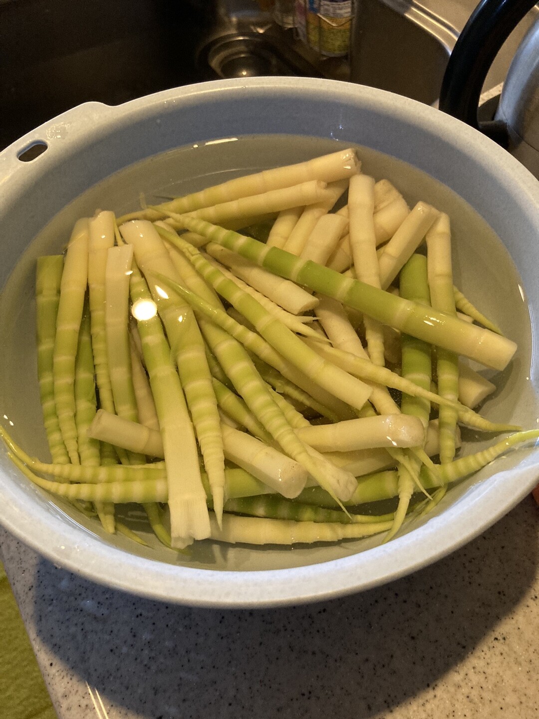 今日はタケノコ採り。 昨日は3時30分起... / doaraさんのモーメント | YAMAP / ヤマップ