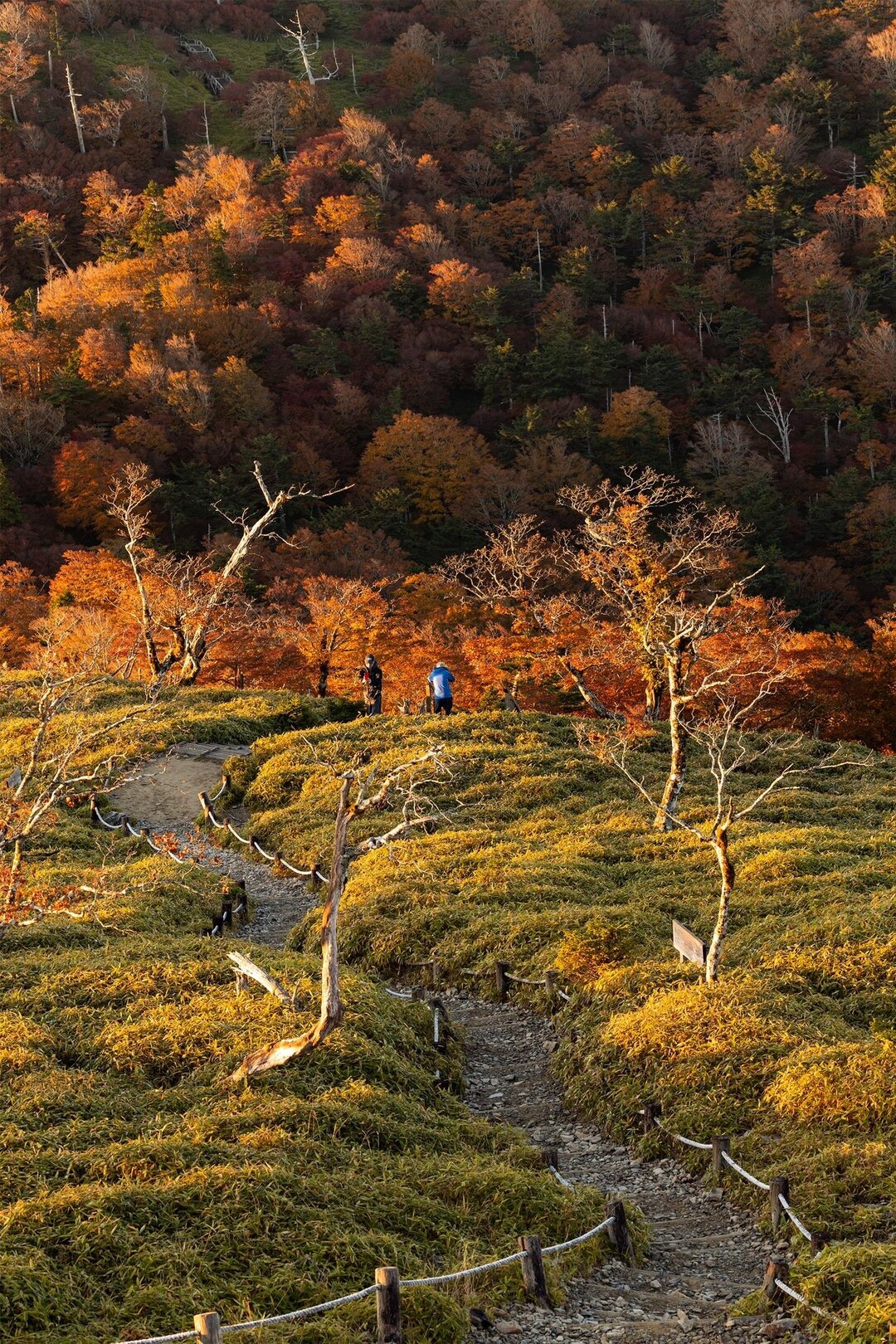 📝秋色 📸2023.10.17 午... / QOOさんのモーメント | YAMAP / ヤマップ
