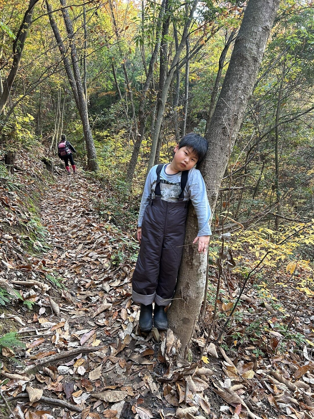 2022-11-19☆大野お散歩 / 永吉☆shotaさんの飯降山（御岳）の活動データ | YAMAP / ヤマップ