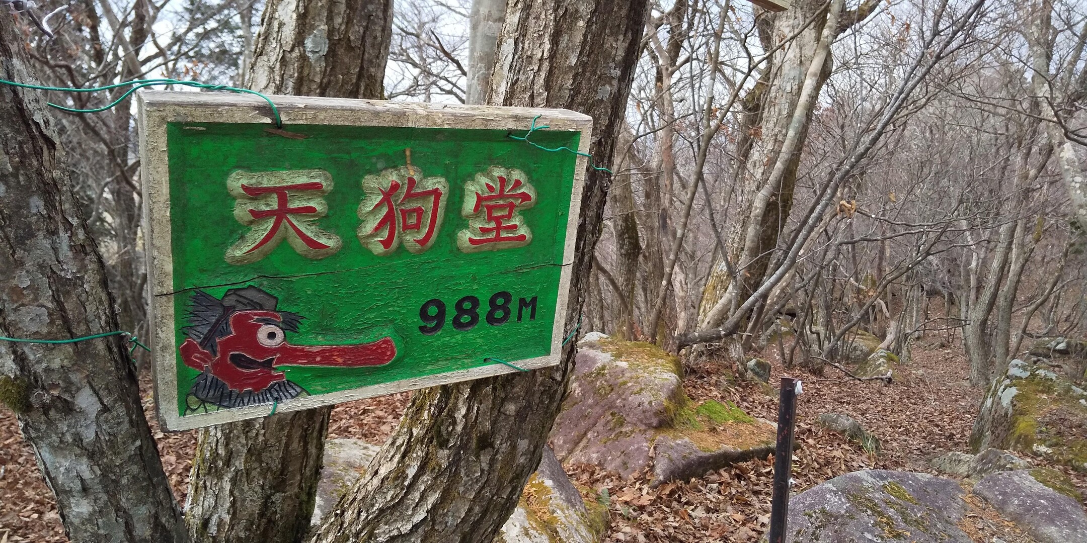 確かに急登だった『天狗堂・サンヤリ』 / くまろんさんの天狗堂の活動データ | YAMAP / ヤマップ