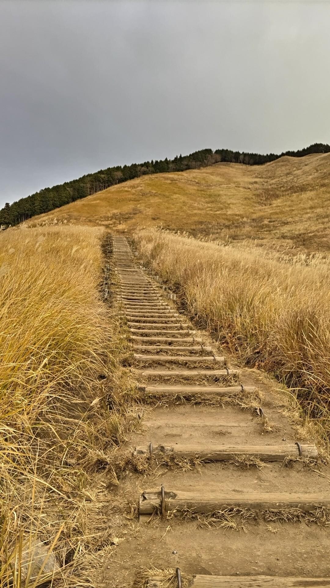 二本ボソ・倶留尊山・亀山 / tenさんの倶留尊山・曽爾高原・古光山の活動データ | YAMAP / ヤマップ