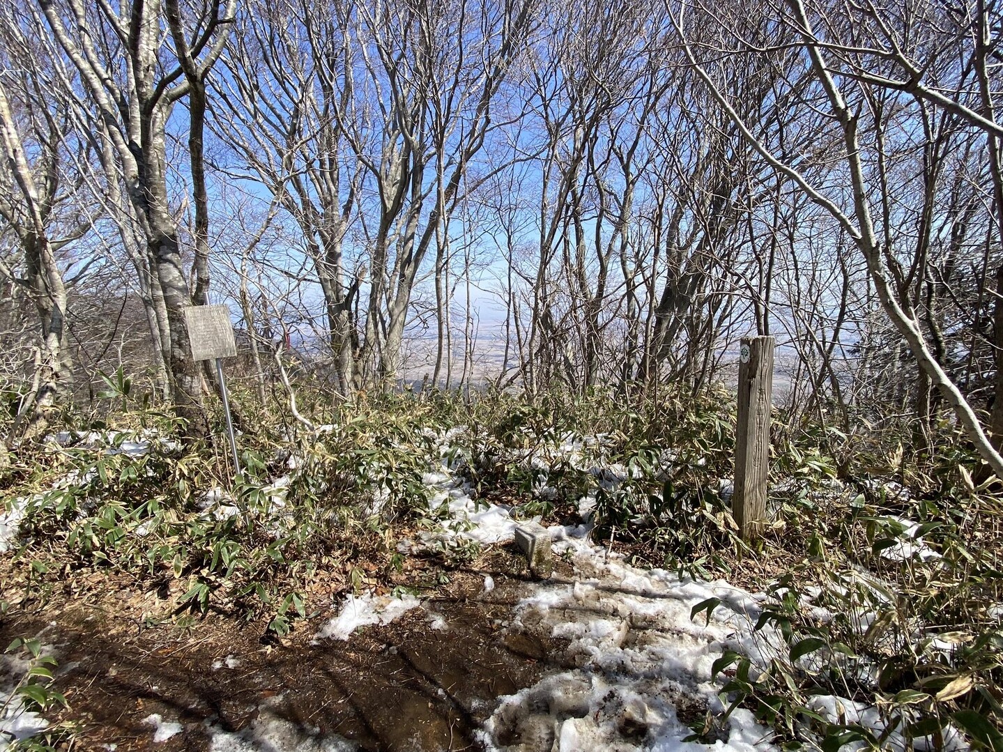 Moonkeyさんの投稿したフィールドメモ | YAMAP / ヤマップ