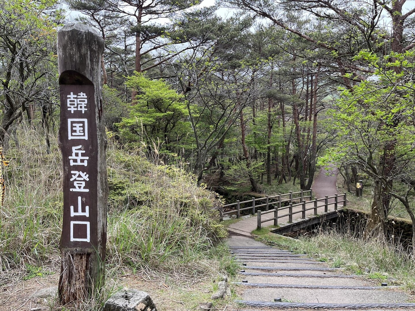 韓国岳（霧島山） / masさんの霧島山・韓国岳・高千穂峰・夷守岳・烏帽子岳の活動日記 | YAMAP / ヤマップ