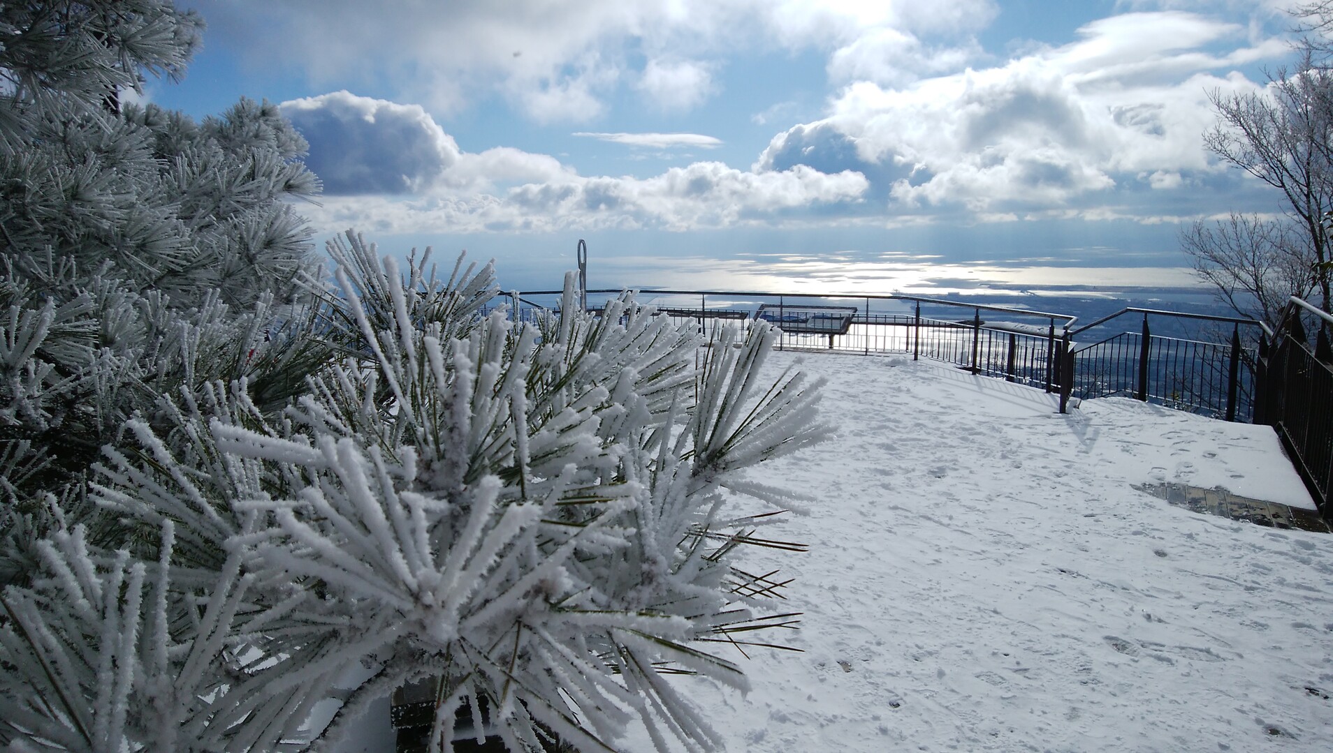 雪の掬星台 / noriさんの六甲山・長峰山・摩耶山の活動データ | YAMAP / ヤマップ
