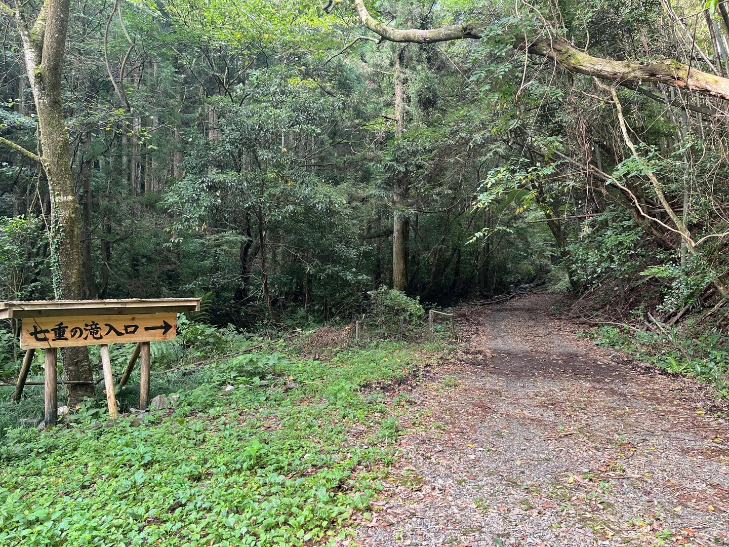 Meeyaさんの投稿したフィールドメモ | YAMAP / ヤマップ