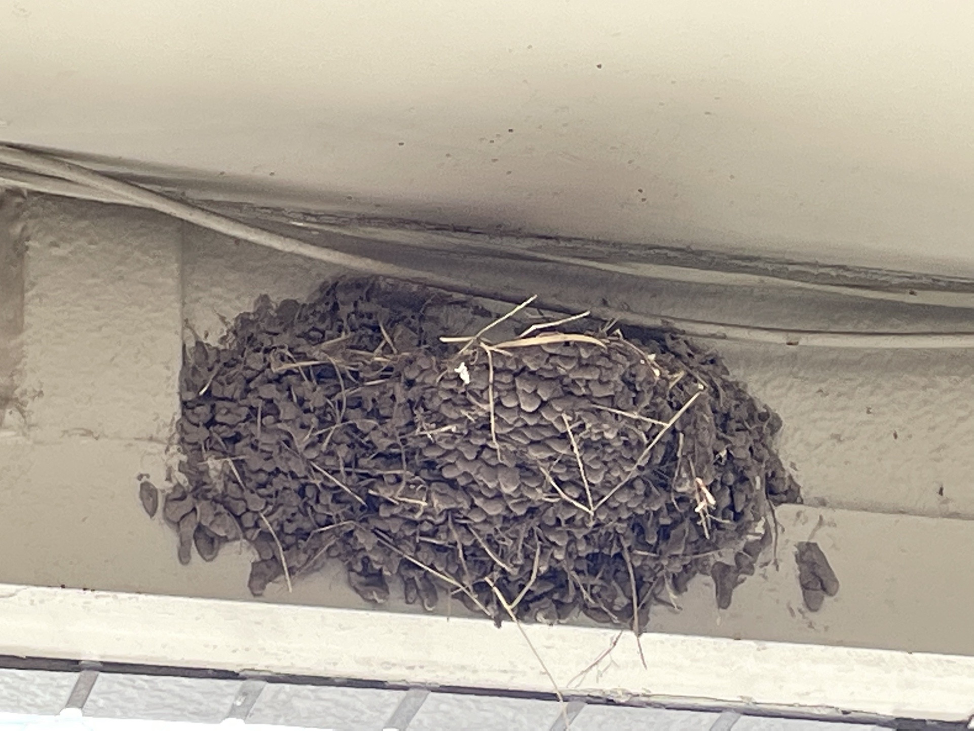 そして、だれもいなくなった。 / osamさんのモーメント | YAMAP / ヤマップ