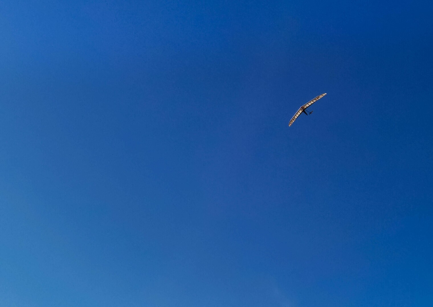 小丸尾根から塔ノ岳歩いてきました / Bakiさんの塔ノ岳・丹沢山・蛭ヶ岳の活動データ | YAMAP / ヤマップ