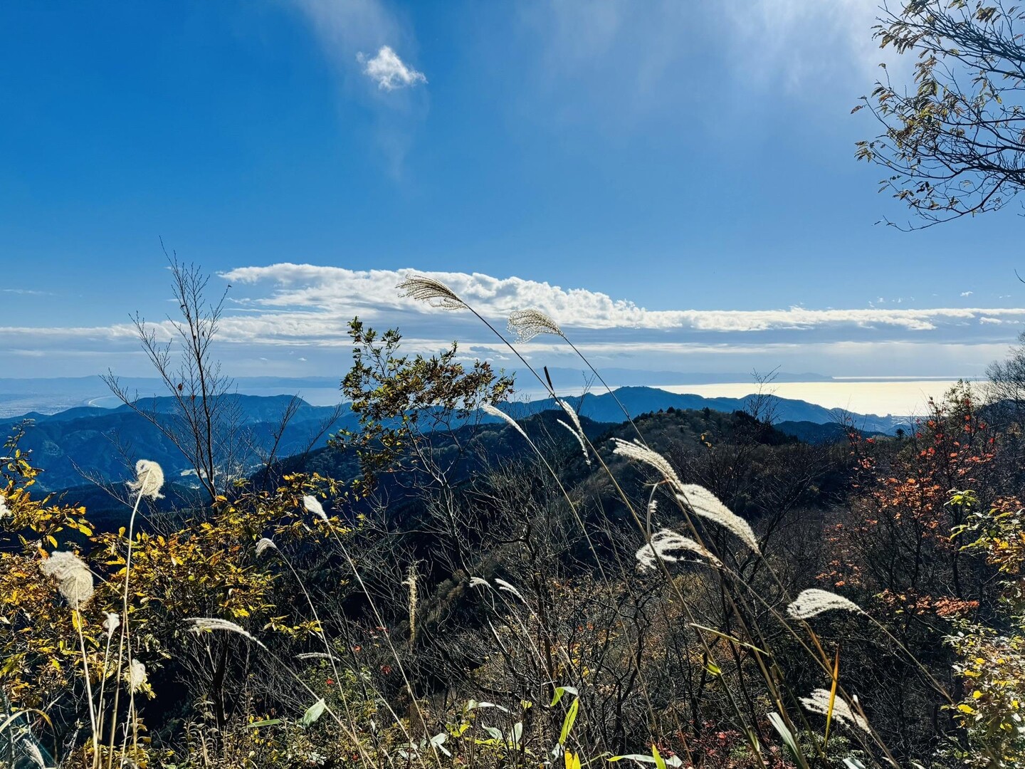 高ドッキョウ・平治ノ段・貫ヶ岳 / amuさんの貫ヶ岳・高ドッキョウの活動データ | YAMAP / ヤマップ