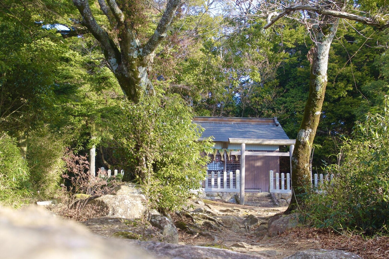 2022年登り納めは羽束山。 今年一年楽... / kazu51さんのモーメント | YAMAP / ヤマップ