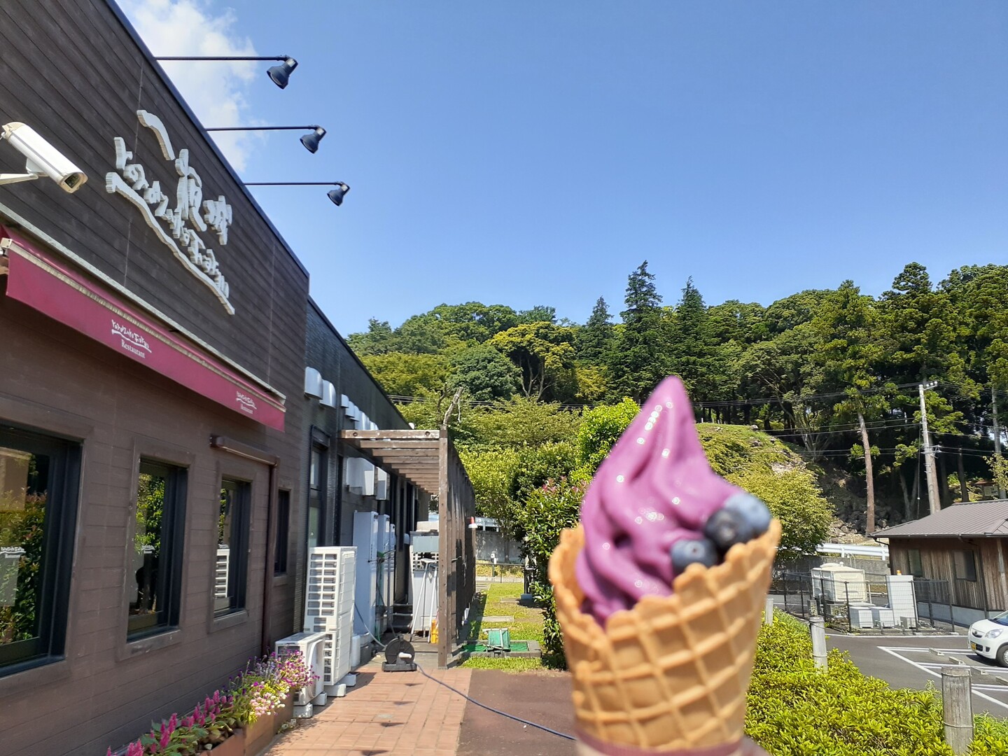 石垣山 小田原市-2019-08-25 / ko usさんの小田原市の活動データ | YAMAP / ヤマップ