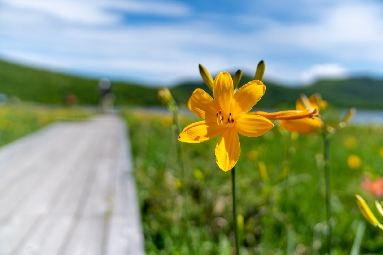 雄国沼 写真のみ公開 part2 / ハリララさんのモーメント | YAMAP / ヤマップ