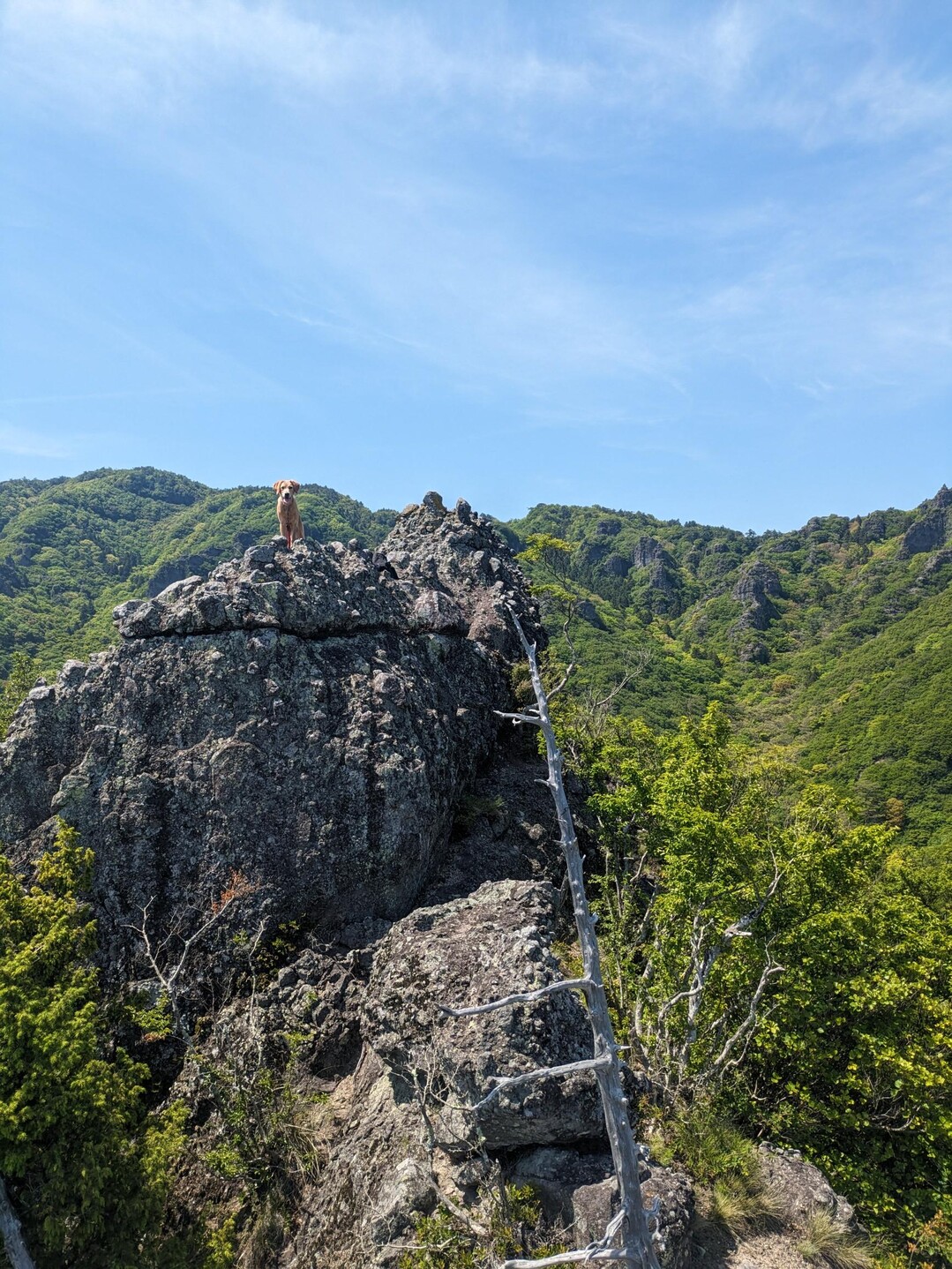 【VR】小豆島 寒霞渓 ↑馬の背+玉筍峯（ぎょくじゅんぽう）↓表寒霞渓🐕‍🦺 600座目！ / meさんの小豆島・星ヶ城山・皇踏山の活動データ | YAMAP / ヤマップ