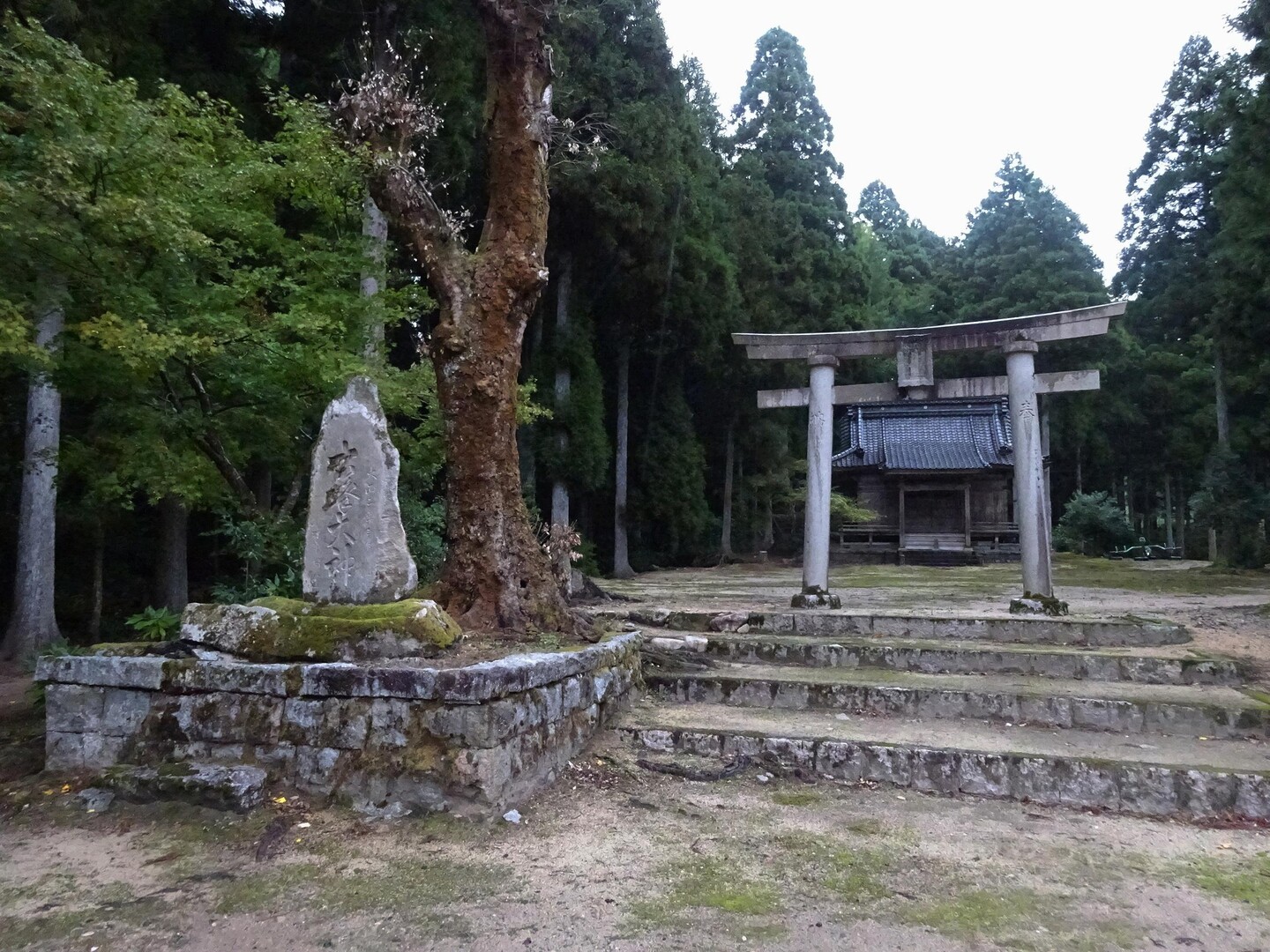 月岡温泉～権現山 / aomoriさんの剣龍峡・焼山の活動データ | YAMAP / ヤマップ