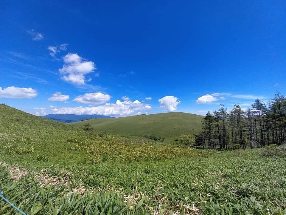 夏空の霧ヶ峰 June. 30, 2022 / yuka96さんの霧ヶ峰・車山・大笹峰の活動データ | YAMAP / ヤマップ