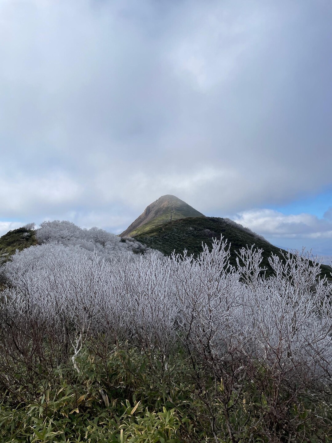 夏山納会だよ🤗徳舜瞥山・ホロホロ山 / NONさんの徳舜瞥山・ホロホロ山の活動データ | YAMAP / ヤマップ