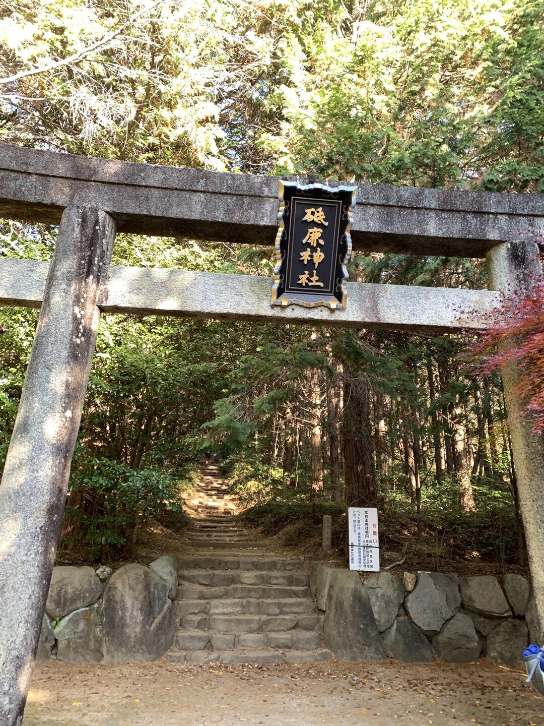 サクッと軽装、本宮山HRK⛰️ / ワイン好きさんの本宮山・大日山・風頭山の活動データ | YAMAP / ヤマップ