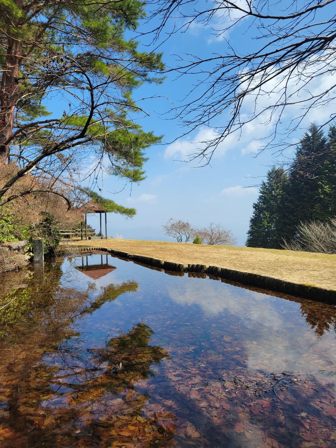 池田山 R06.03.30 / 良さんの池田山の活動データ | YAMAP / ヤマップ