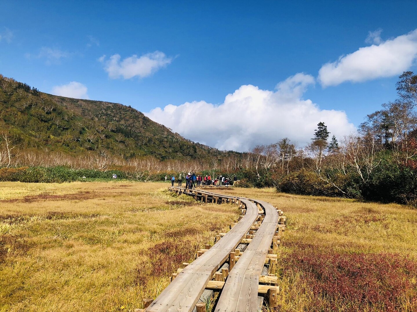 栂池自然園 / t-phanさんの栂池高原スキー場の活動データ | YAMAP / ヤマップ
