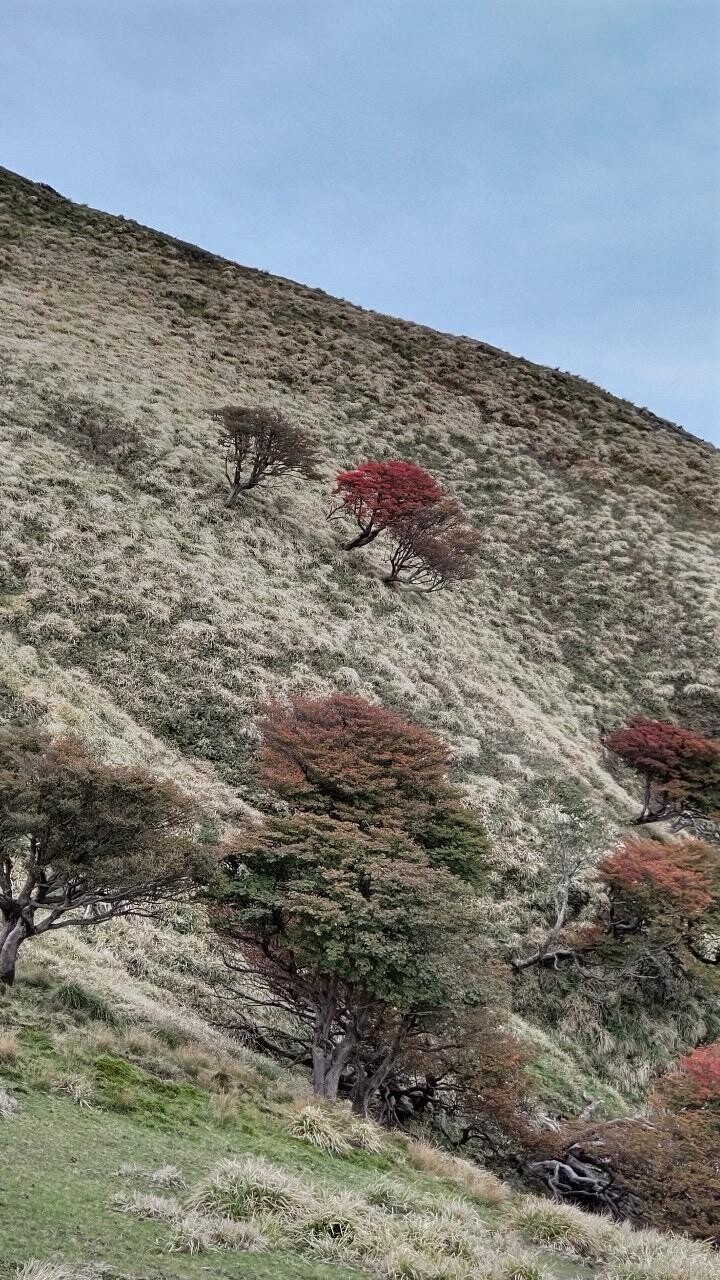 🐲竜ヶ岳🐉 / ke-maさんの竜ヶ岳の活動データ | YAMAP / ヤマップ