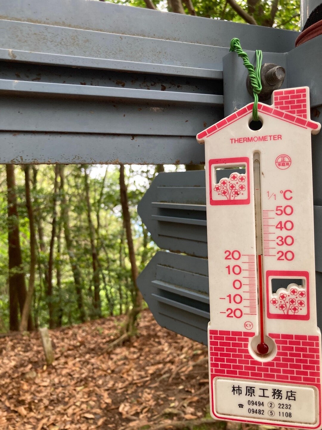 大日ヶ岳・釈迦ヶ岳 / nobu-bさんの釈迦ヶ岳・大日ヶ岳・岳滅鬼山の活動データ | YAMAP / ヤマップ