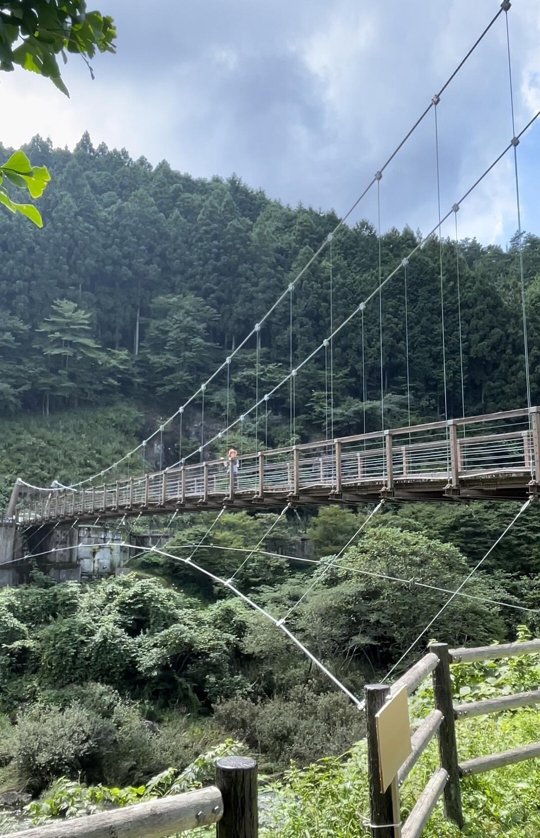 夏焼城ヶ山 / nyさんの夏焼城ヶ山・月ヶ平の活動データ | YAMAP / ヤマップ