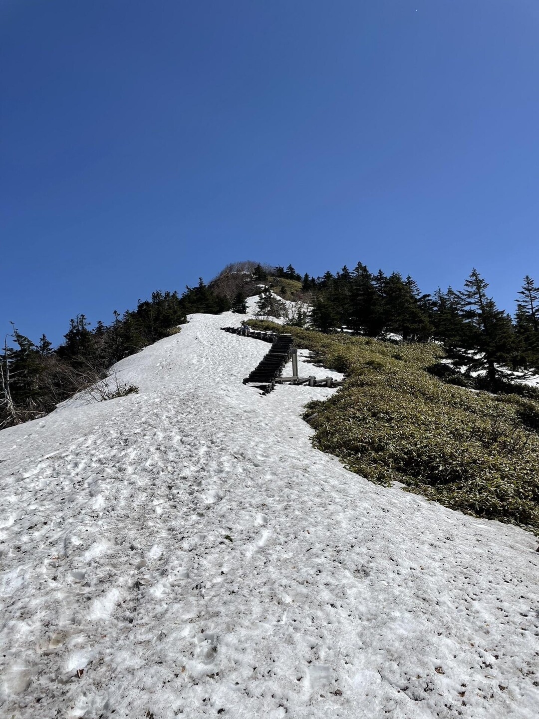 アルプスview最高！四阿山 / いっけいいのかずさんの四阿山・根子岳の活動データ | YAMAP / ヤマップ