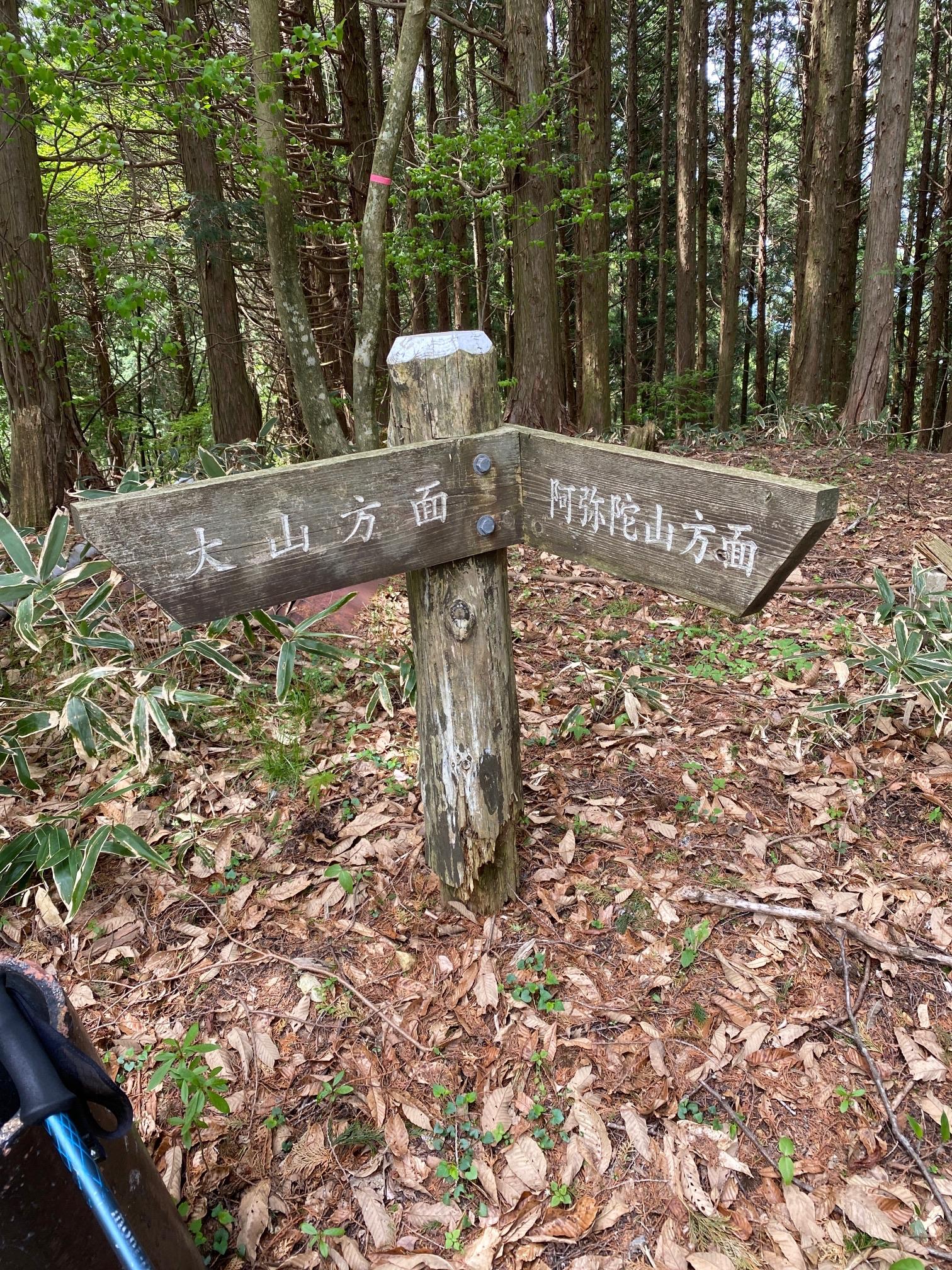 阿弥陀山西峰 / benchanさんの阿弥陀山の活動データ | YAMAP / ヤマップ