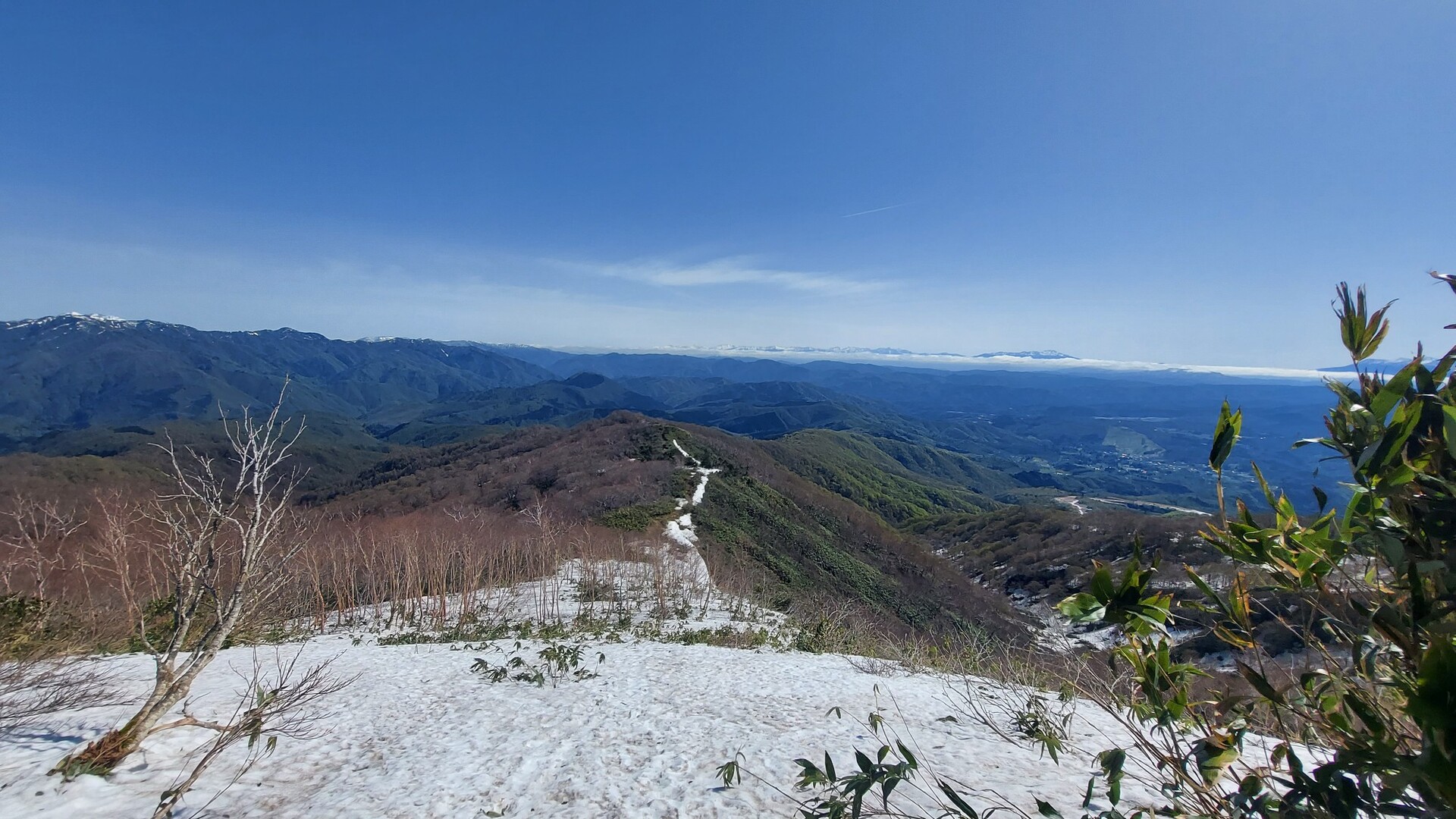 tolucky(^^)さんの投稿したフィールドメモ | YAMAP / ヤマップ