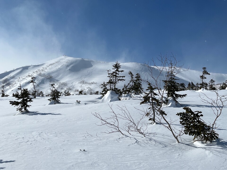 白馬岳 小蓮華山 船越の頭 乗鞍岳 栂池自然園の登山口 縦走コースの地図・登山ルート・登山口情報 Yamap ヤマップ