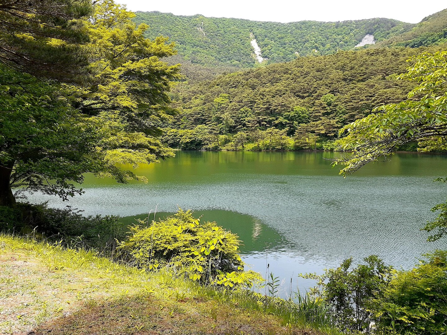 半田山 / hi-m007.さんの半田山・萬歳楽山の活動データ | YAMAP / ヤマップ