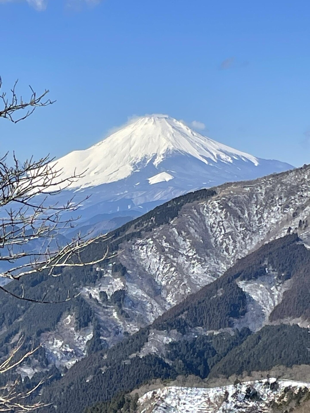 大山 / morimoriさんの大山の活動データ | YAMAP / ヤマップ