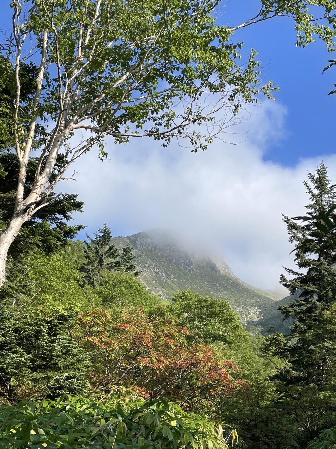 9月4日 火 紅葉が始まりつつある焼岳の... / hiromiさんのモーメント | YAMAP / ヤマップ