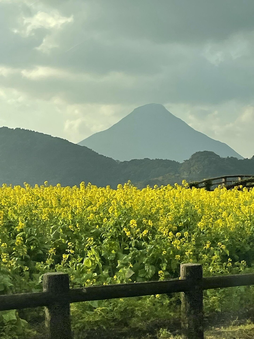 日本百名山 開聞岳 / RIKU🐕‍🦺 &Jun さんの開聞岳の活動データ | YAMAP / ヤマップ