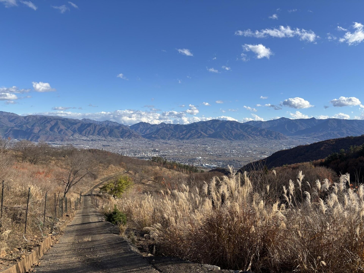 兜山・棚山（春日居町駅〜フルーツセンターBS）-2024-12-07 / haya470さんの要害山・兜山・大蔵経寺山の活動日記 | YAMAP / ヤマップ