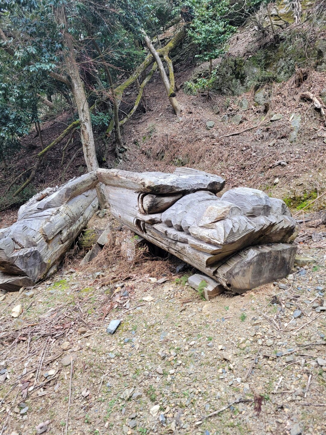 音羽山界隈は賑わっているというので / baseさんの音羽山・醍醐山の活動データ | YAMAP / ヤマップ