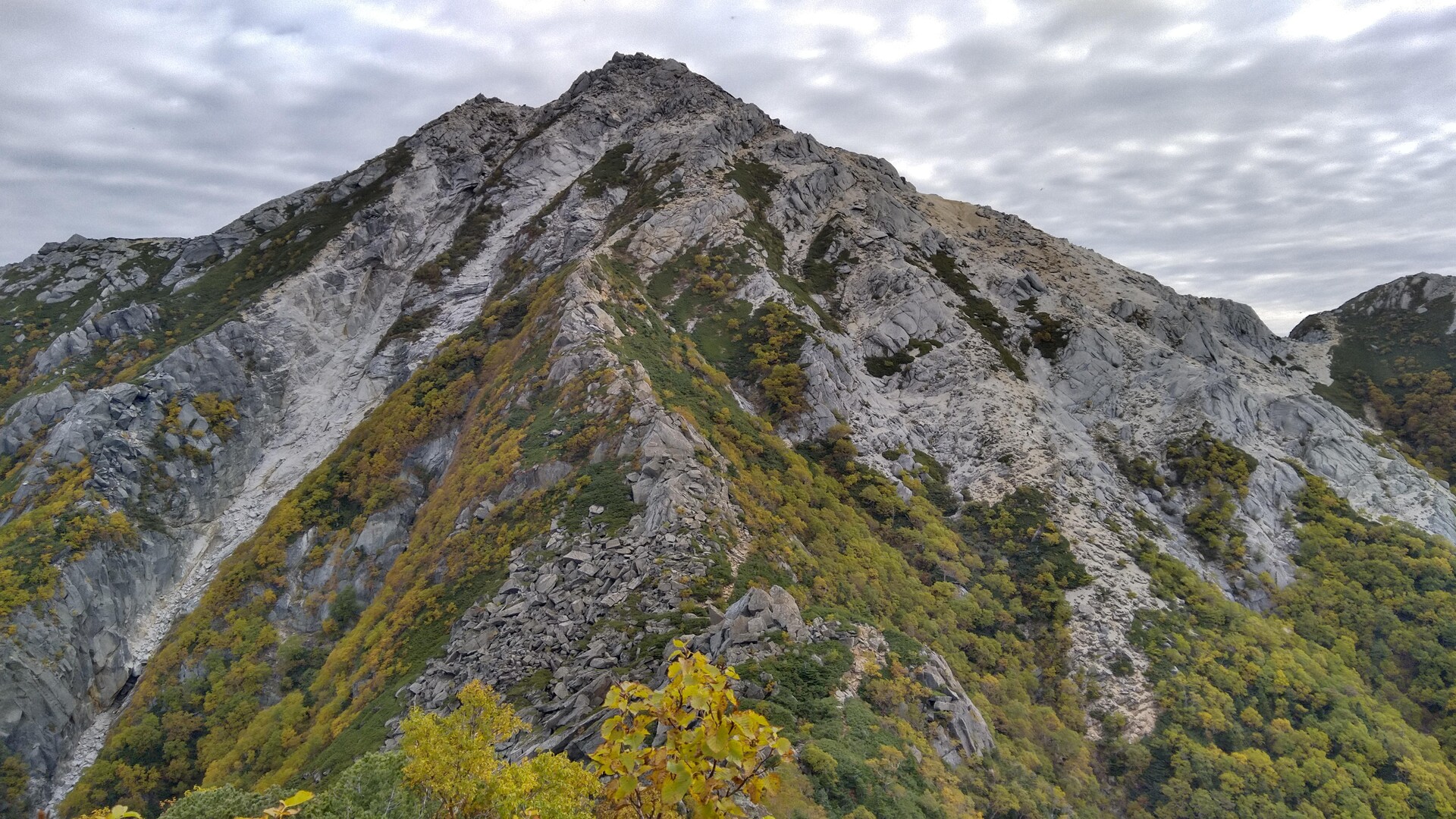 甲斐駒ヶ岳・摩利支天 / としおさんの仙丈ヶ岳・伊那荒倉岳の活動データ | YAMAP / ヤマップ