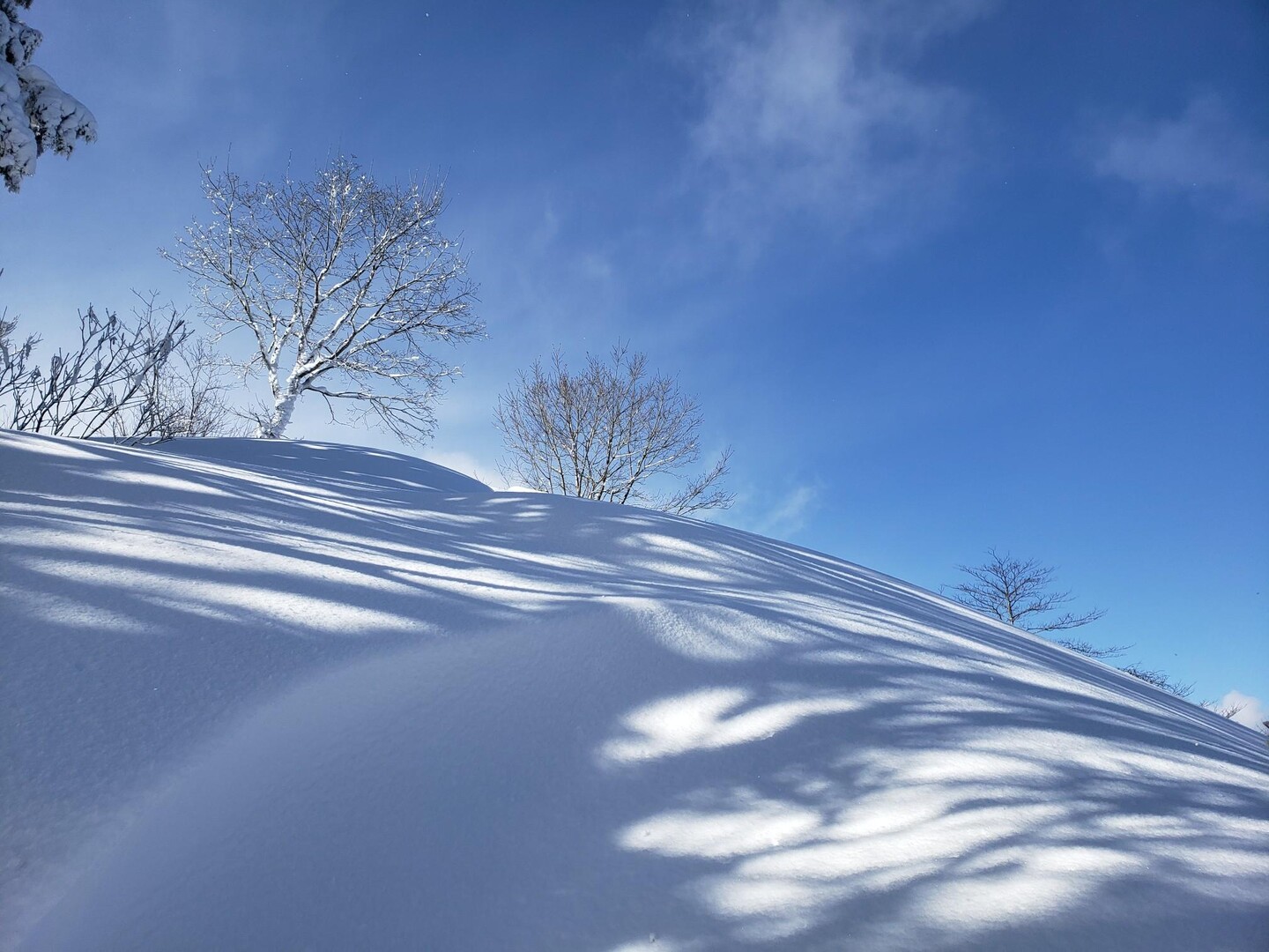 薬莱山-雪山最高 2周 / iSleepさんの薬莱山の活動日記 | YAMAP / ヤマップ