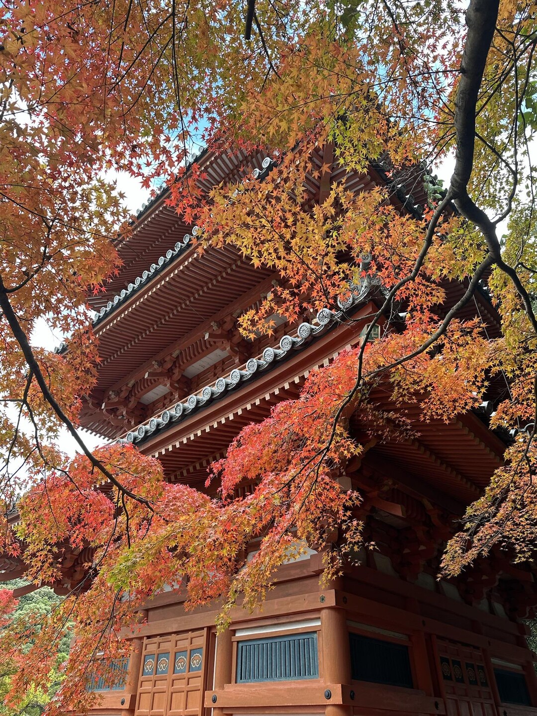 清水山・女山 / yukaさんの清水山・丸山・古僧都山の活動データ | YAMAP / ヤマップ