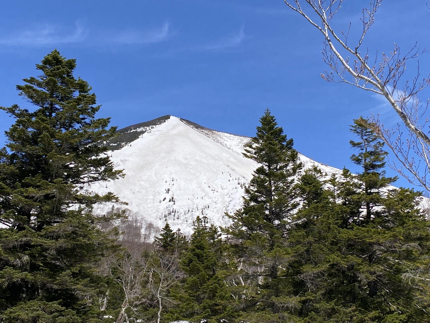 八甲田高田大岳 / ko_daiさんの八甲田山・高田大岳・雛岳の活動日記 | YAMAP / ヤマップ