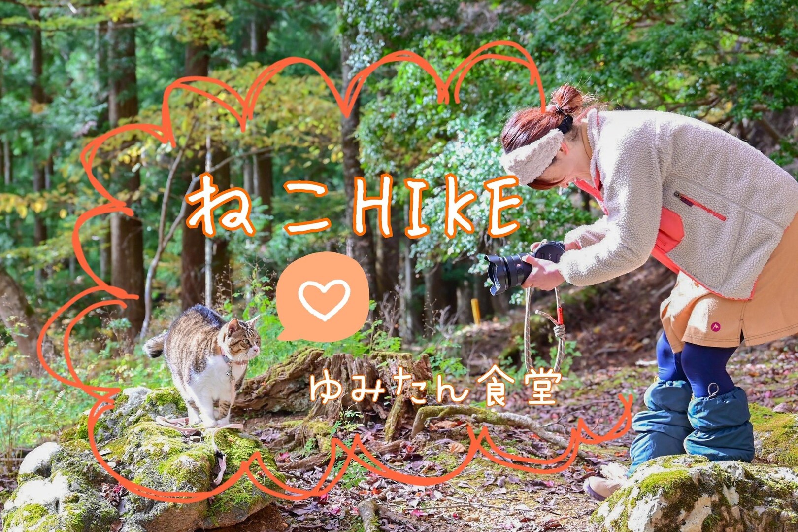ねこHIKE 吉野山 / ᴬʸᵃⁿᵒꕀ♡さんの登山の活動データ | YAMAP / ヤマップ